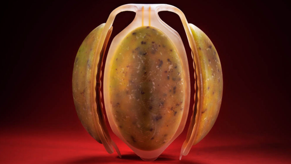 NEO FRUIT 2.0 FRUIT OF THE FUTURE - Science of the Time